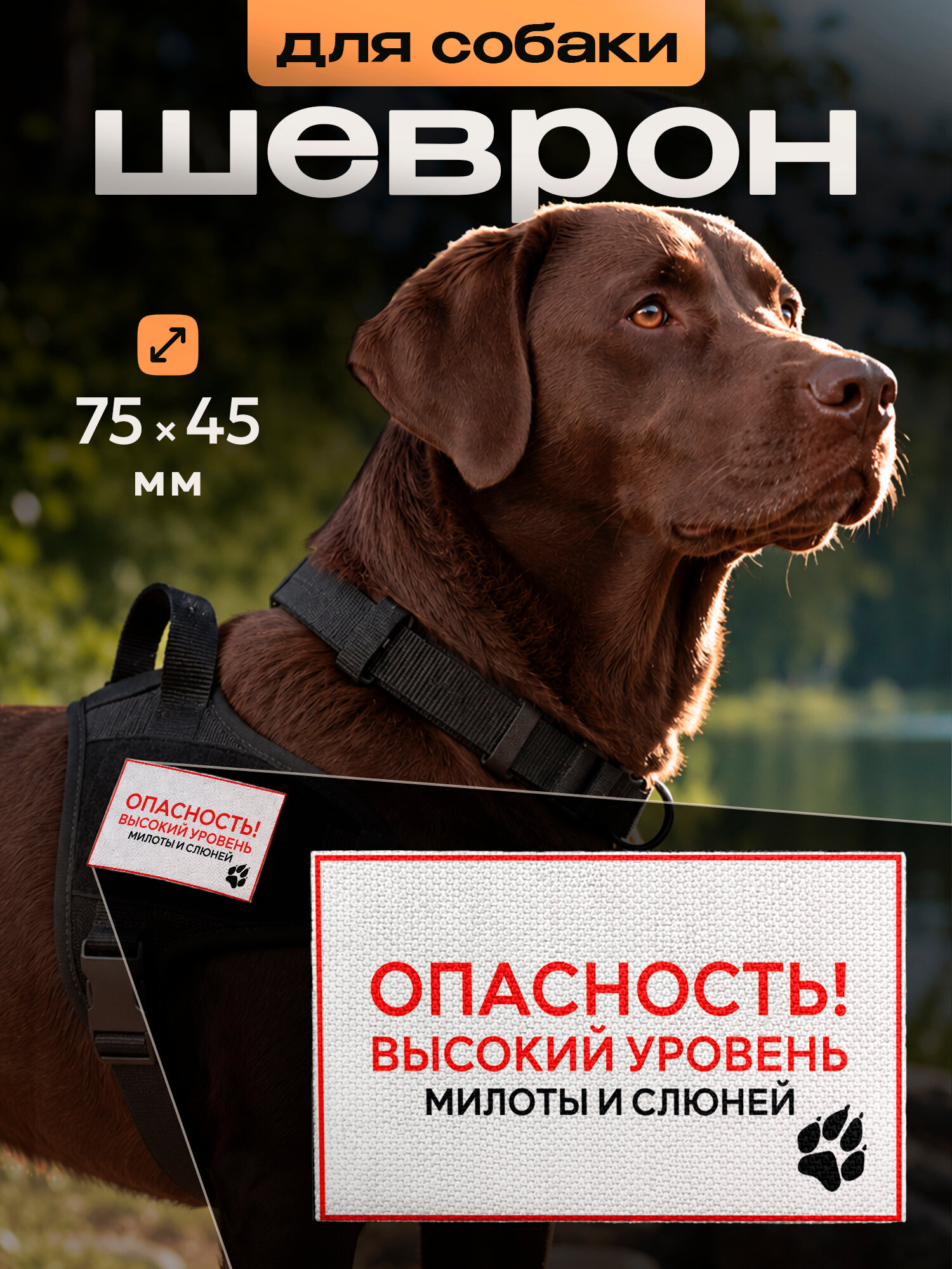 Шеврон для собак