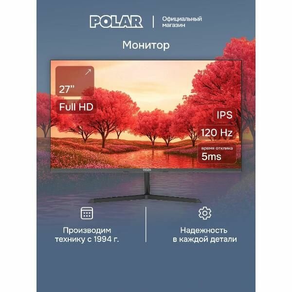 Телевизор POLAR P27F10M