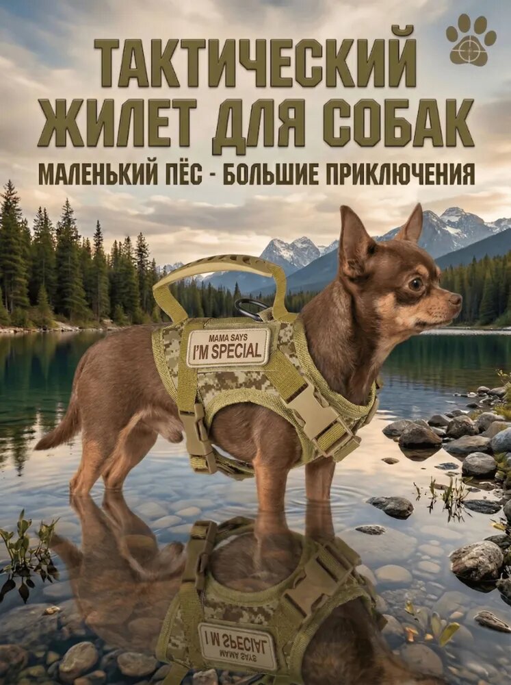 Тактический нагрудный ремень для щенка и кошки в виде жилета с тяговым тросом, противоразрывная регулируемая цепочка для маленькой собаки