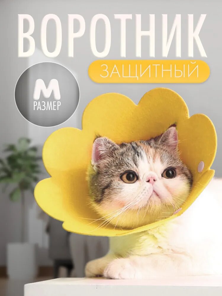 Съёмный воротник