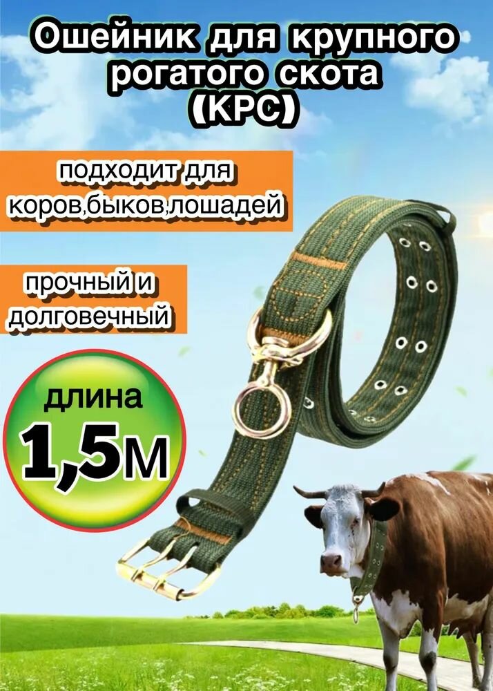 Ошейник для КРС 50мм/150см брезент-нейлон 4 слоя/Для теленка, коров, быков, лошадей с вертлюгом, особопрочный прочный ошейник с вертлюгом для скота брезент нейлон 4 слоя