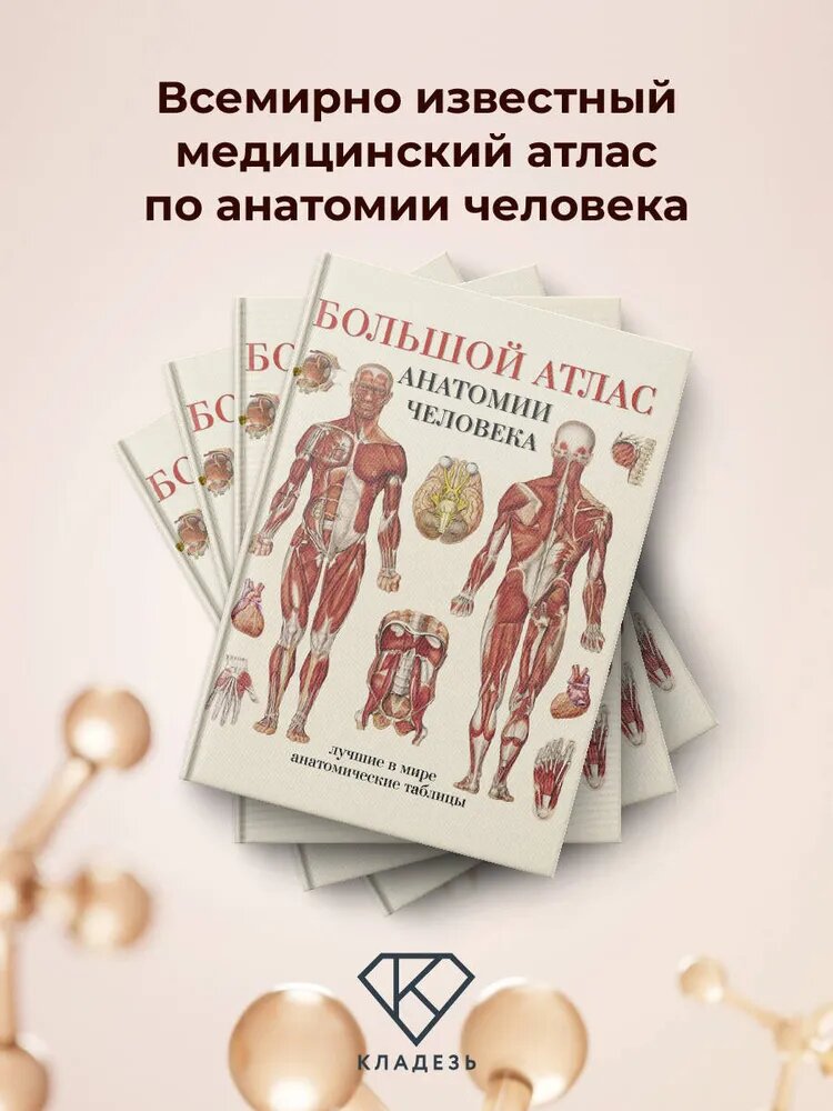 Большой атлас анатомии человека