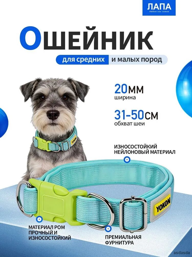 Усиленный нейлоновый ошейник для мелких и средних собак, обхват шеи 31-50 см, вес 8-50 кг