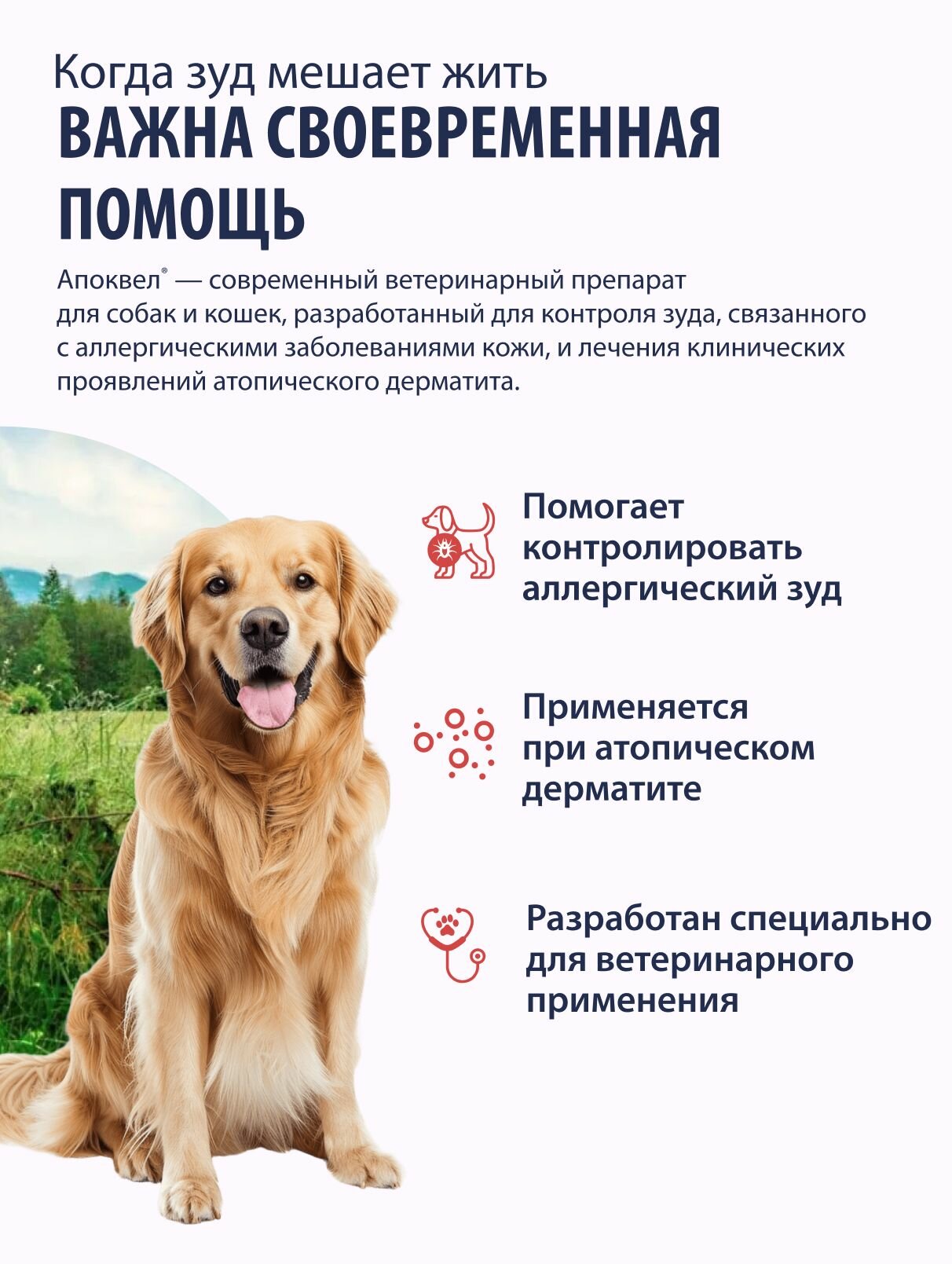 Апоквел 3,6 мг 20 таблеток От аллергии и для снятия зуда Для собак, кошек — фото 1