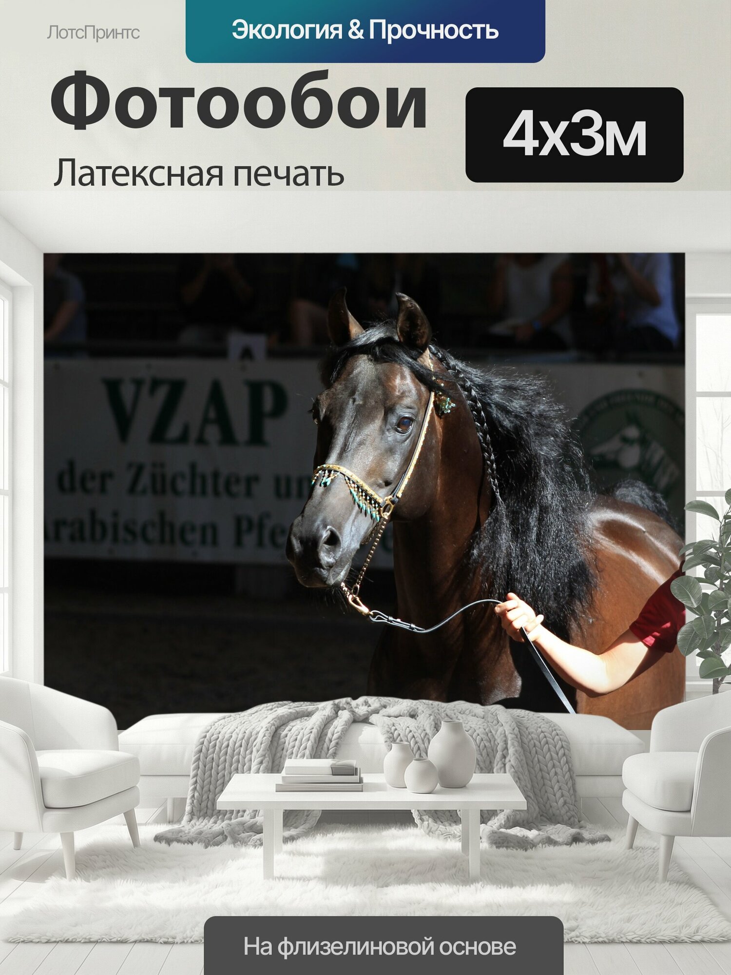 Фотообои моющиеся ударопрочные "Лошадь, арабская лошадь, араб" 400x300 см. латексная печать