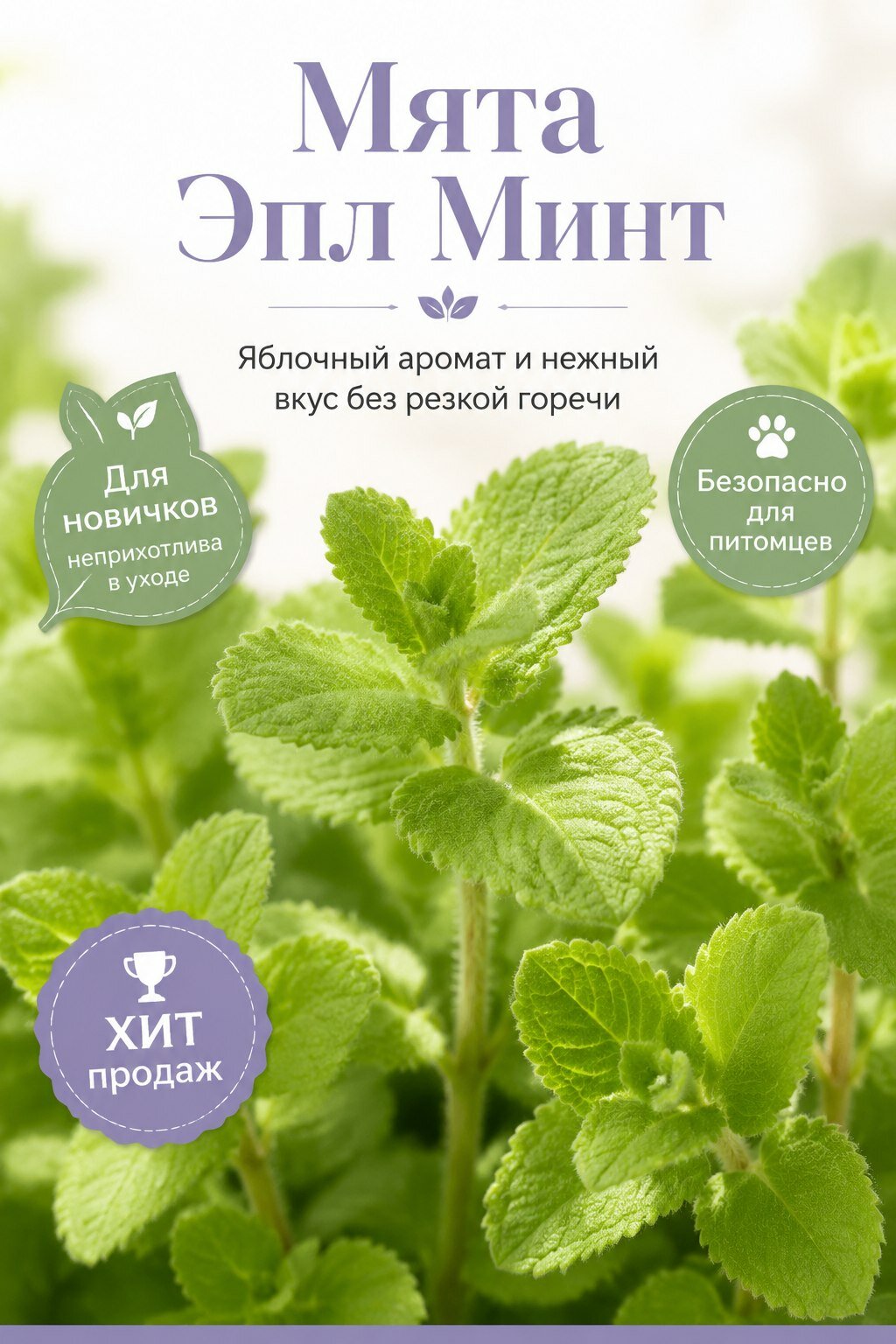 Мята Эпл Минт