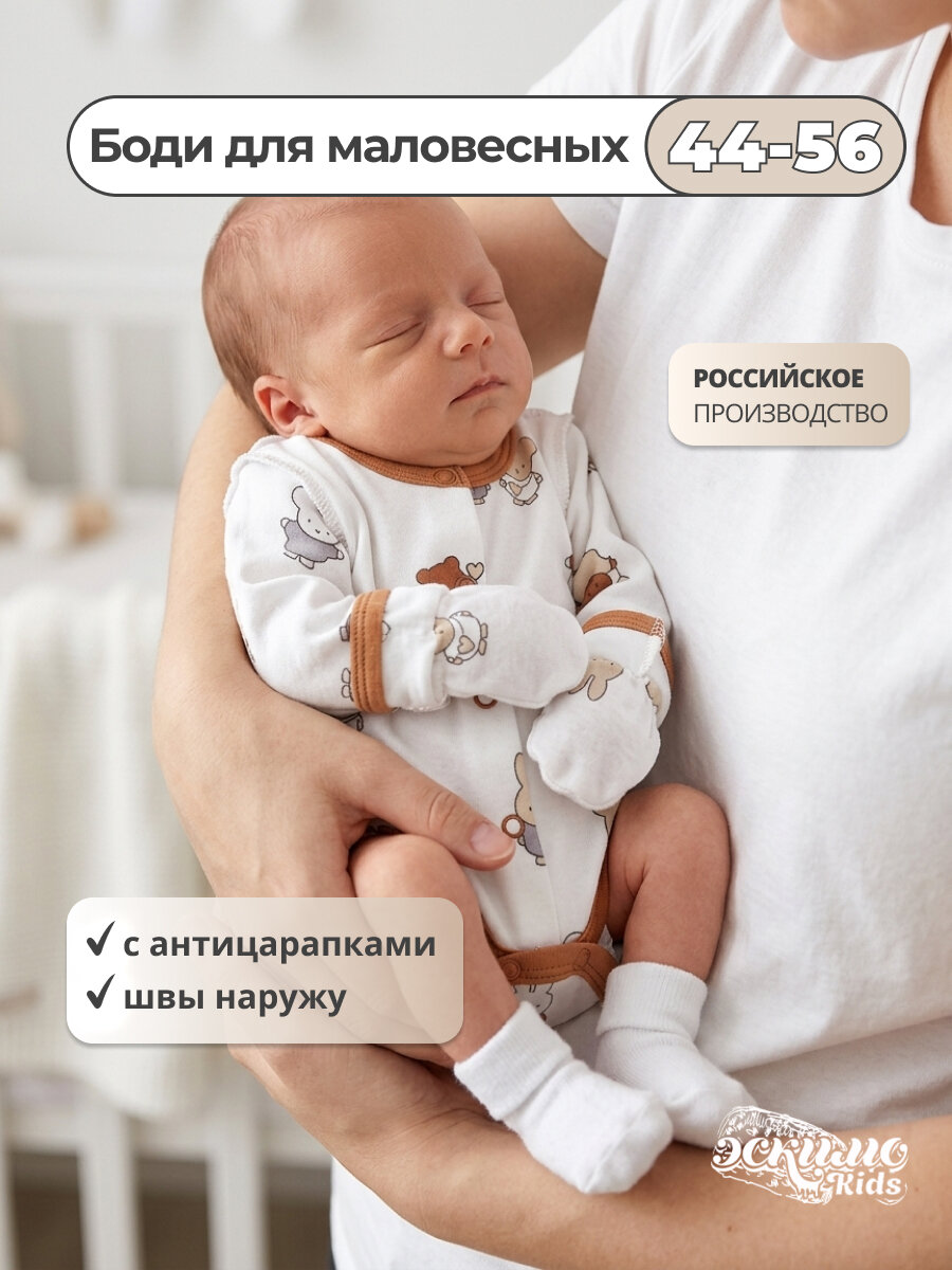 Боди