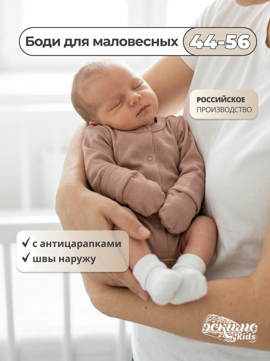 Боди
