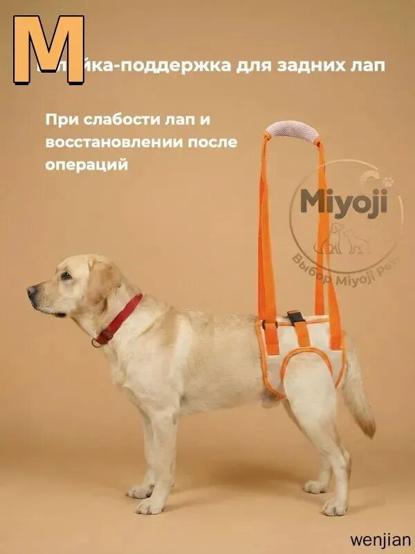 Шлейка-поддержка для задних лап, размер M
