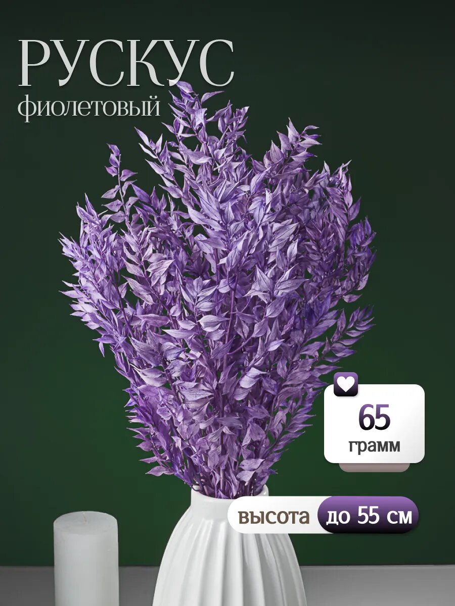 Рускус фиолетовый 65г , сухоцветы для декора и интерьера
