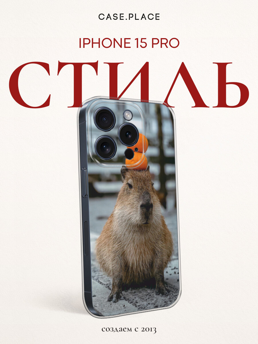Чехол на Apple iPhone 15 Pro / Айфон 15 Про с принтом Капибара медитирует