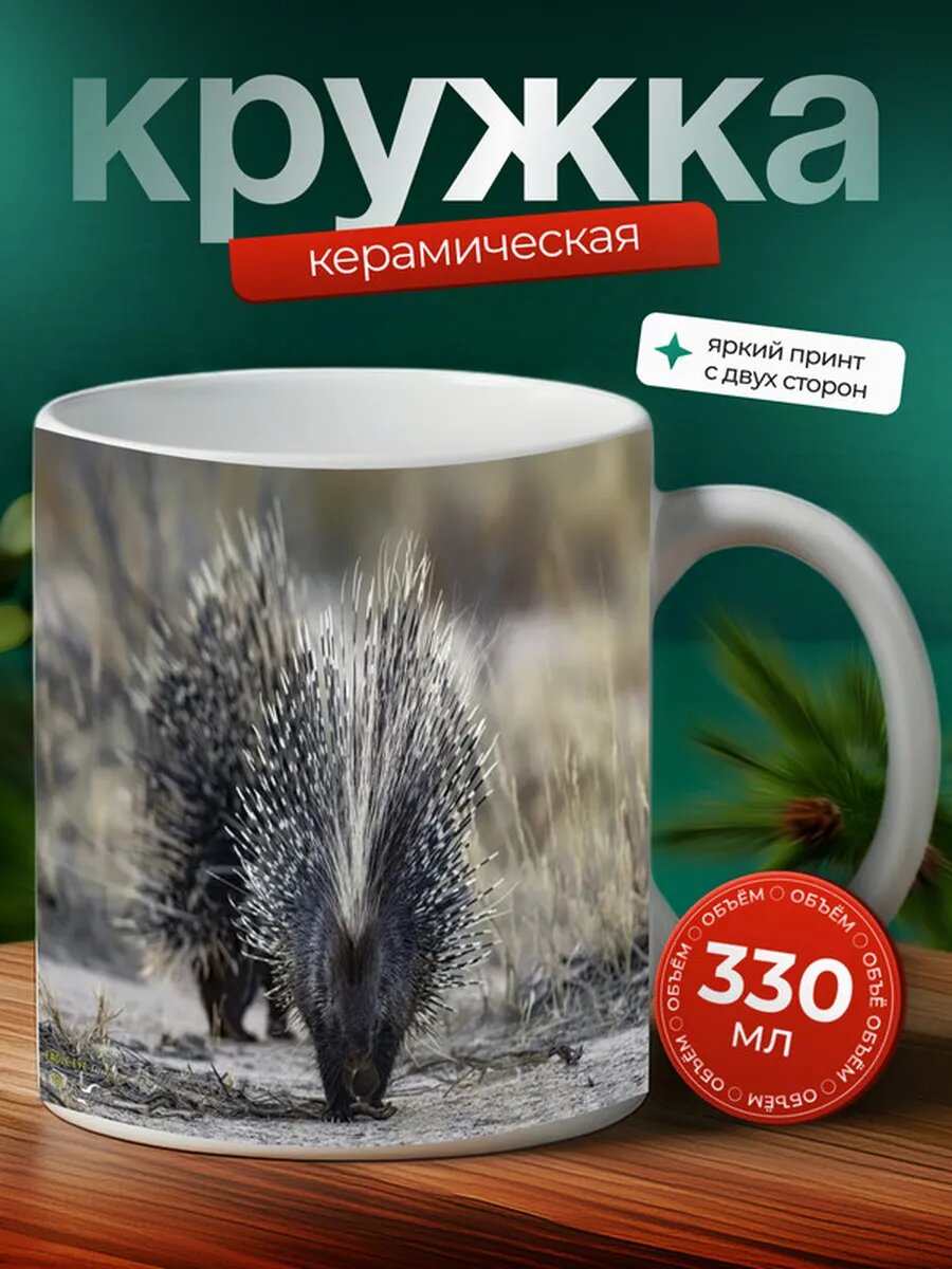 Кружка Дикобраз животное 8,