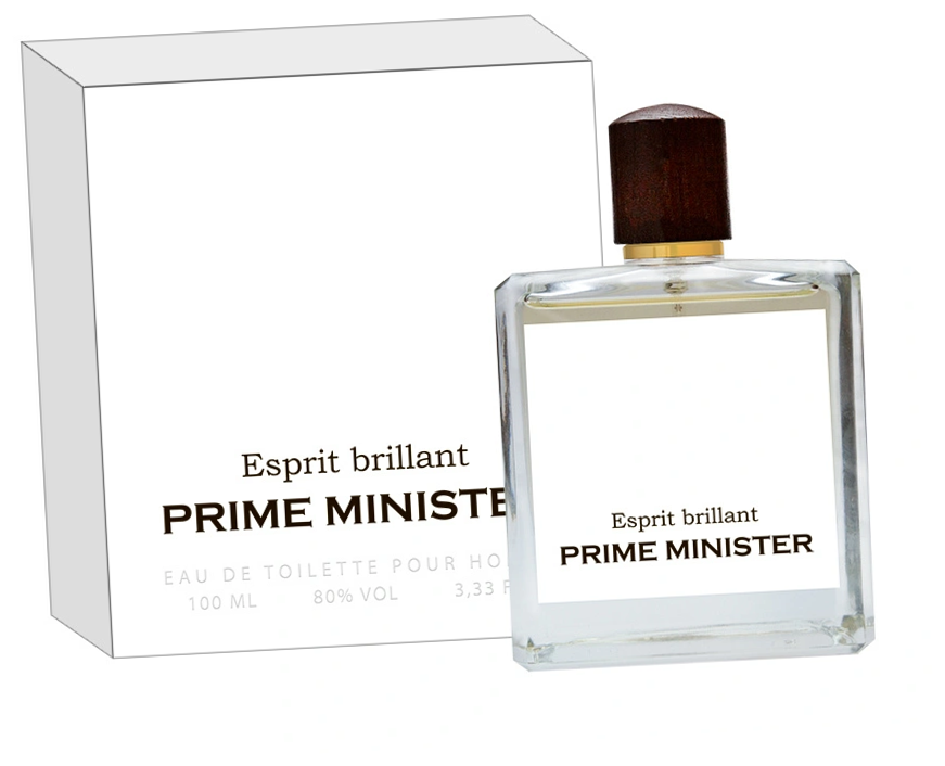 Туалетная вода для мужчин Эсприт Бриллиант 100 мл - Prime Minister Esprit Brillant