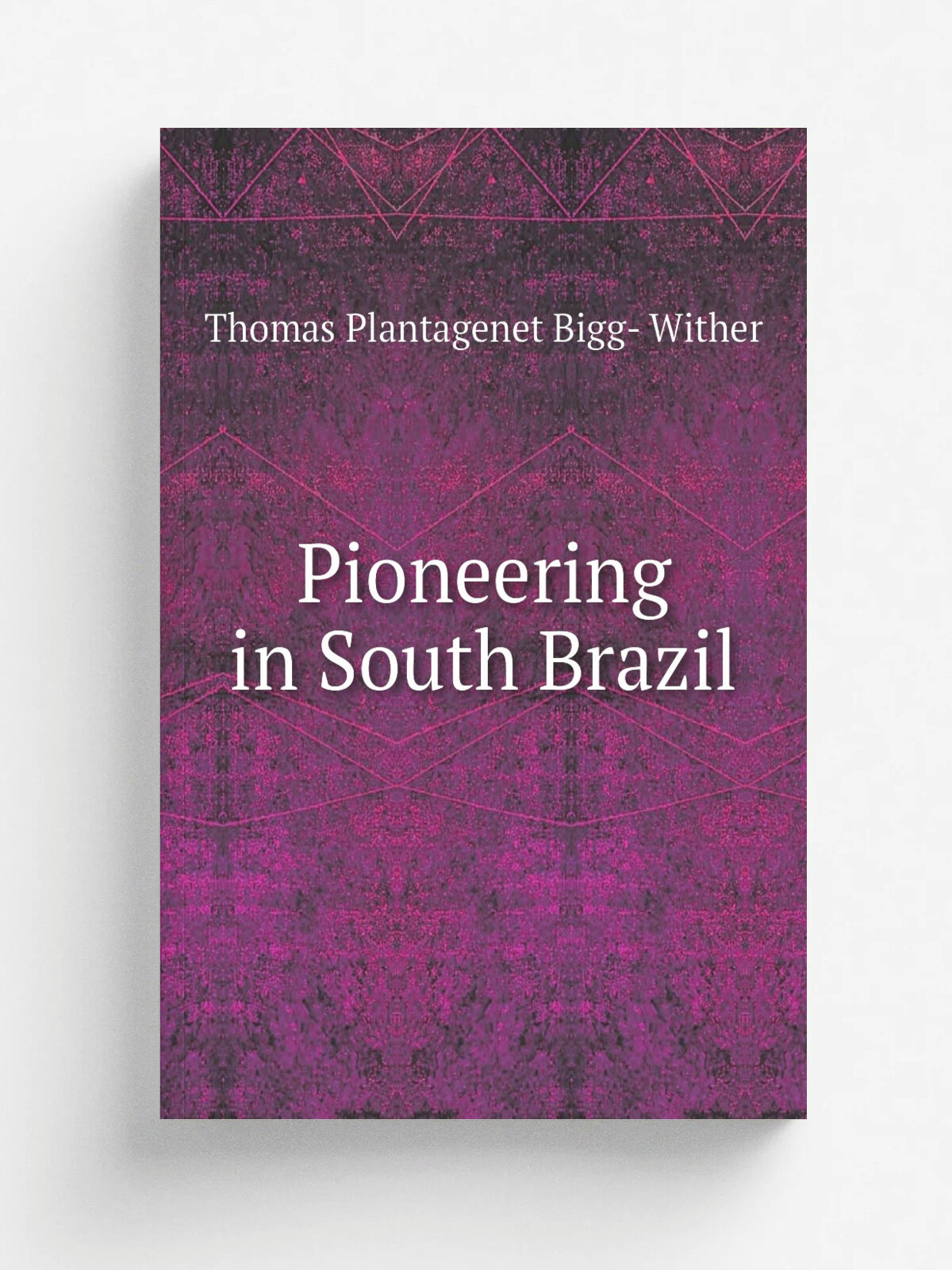 Pioneering in South Brazil