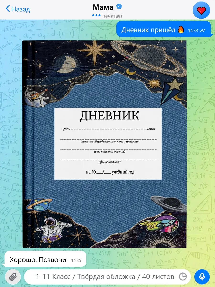 Школьный дневник с принтом Роблокс