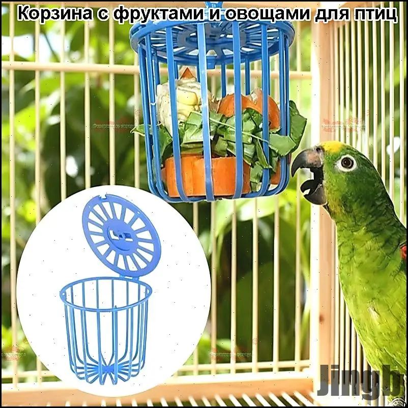 Подвесная корзинка для фруктов и зелени для попугаев, пластиковая кормушка в клетку для птиц
