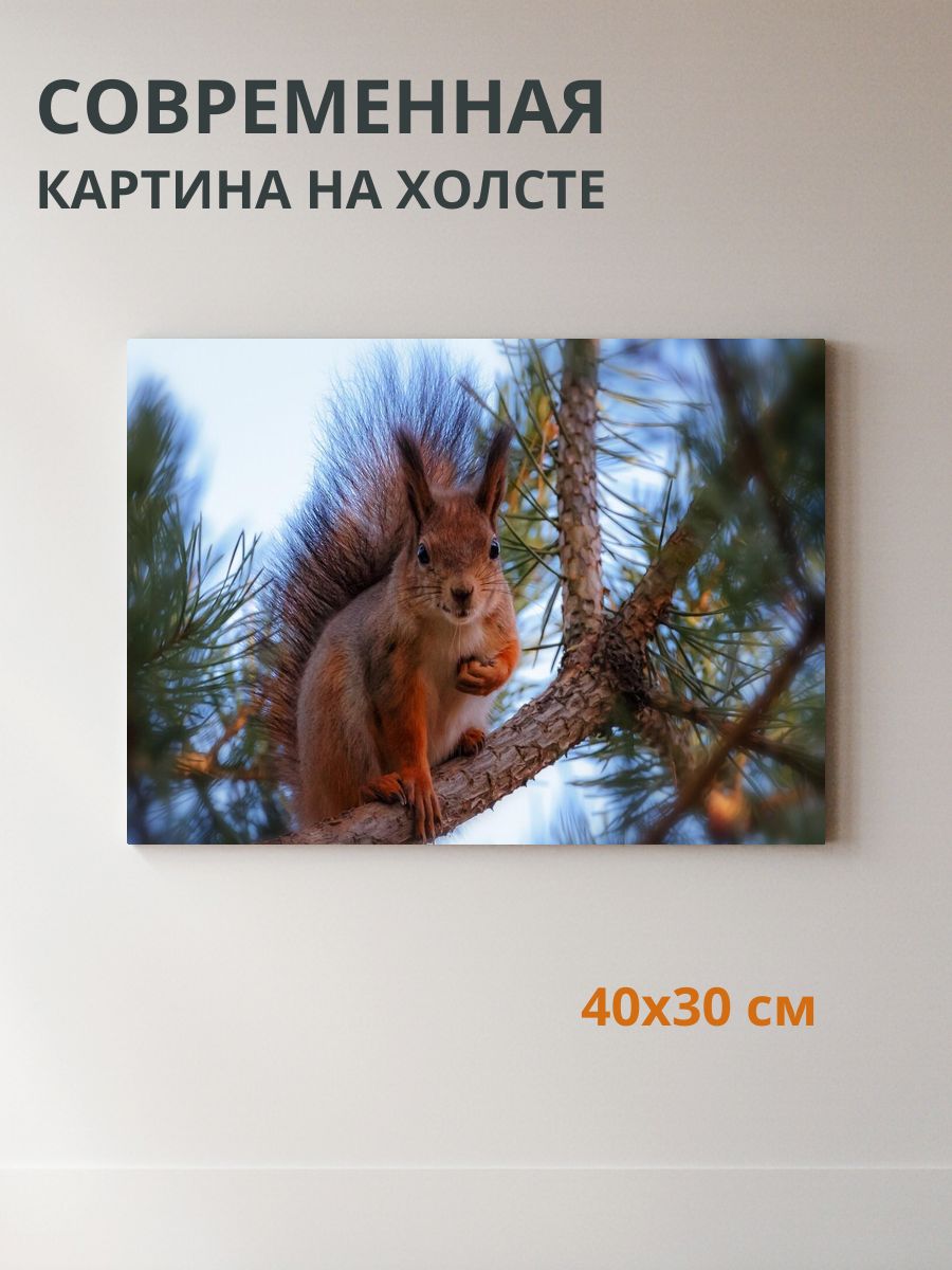 Картина на холсте Сцена с белкой зимой на 40x30 см