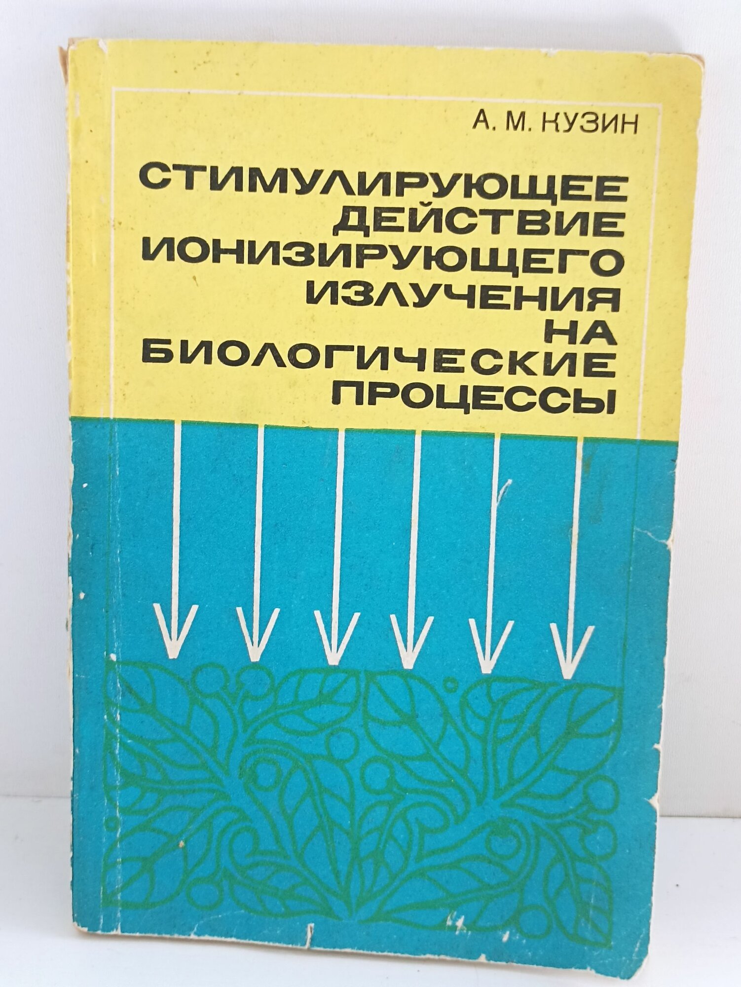 А. М. Кузин. Стимулирующие действия ионизирующего излучения на биологические процессы.