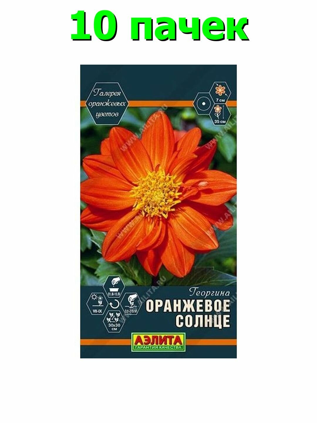 Семена Георгина Оранжевое солнце, однолетник, Аэлита, 1 пачка - 7 семян