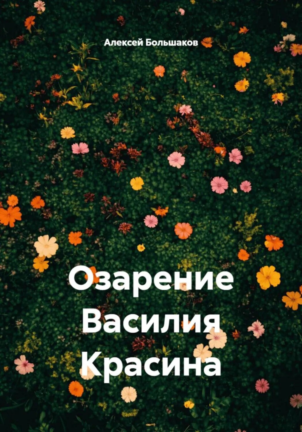 Озарение Василия Красина [Цифровая книга]