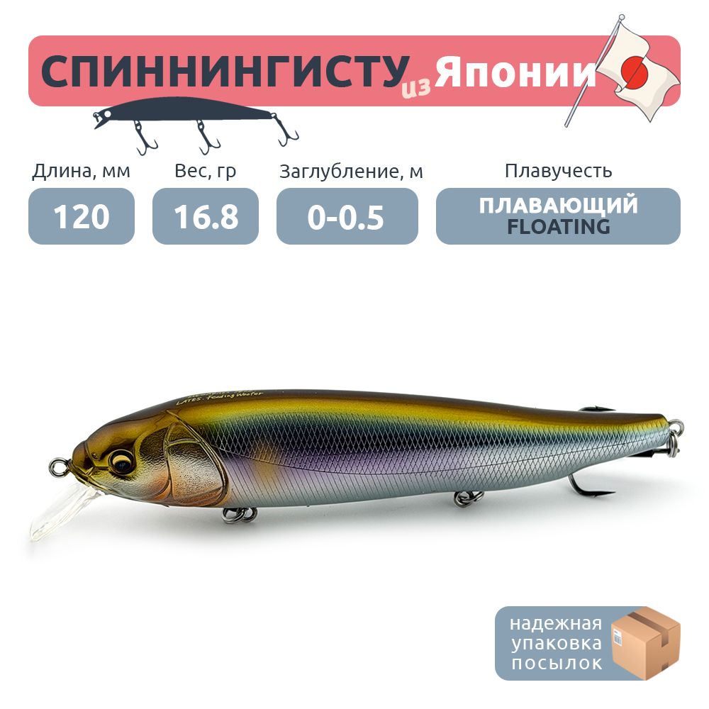 Воблер Megabass Lates Feeding Woofer (120мм 16,8гр) #wagin setsuki ayu