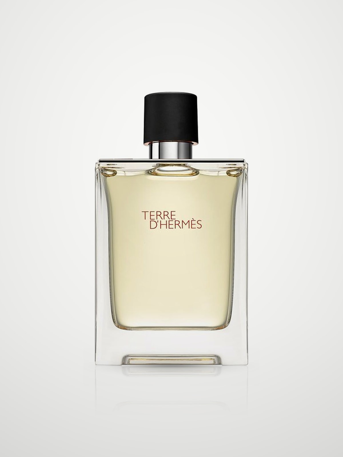 HERMES Terre d Hermes Мужская туалетная вода 100 ml edt