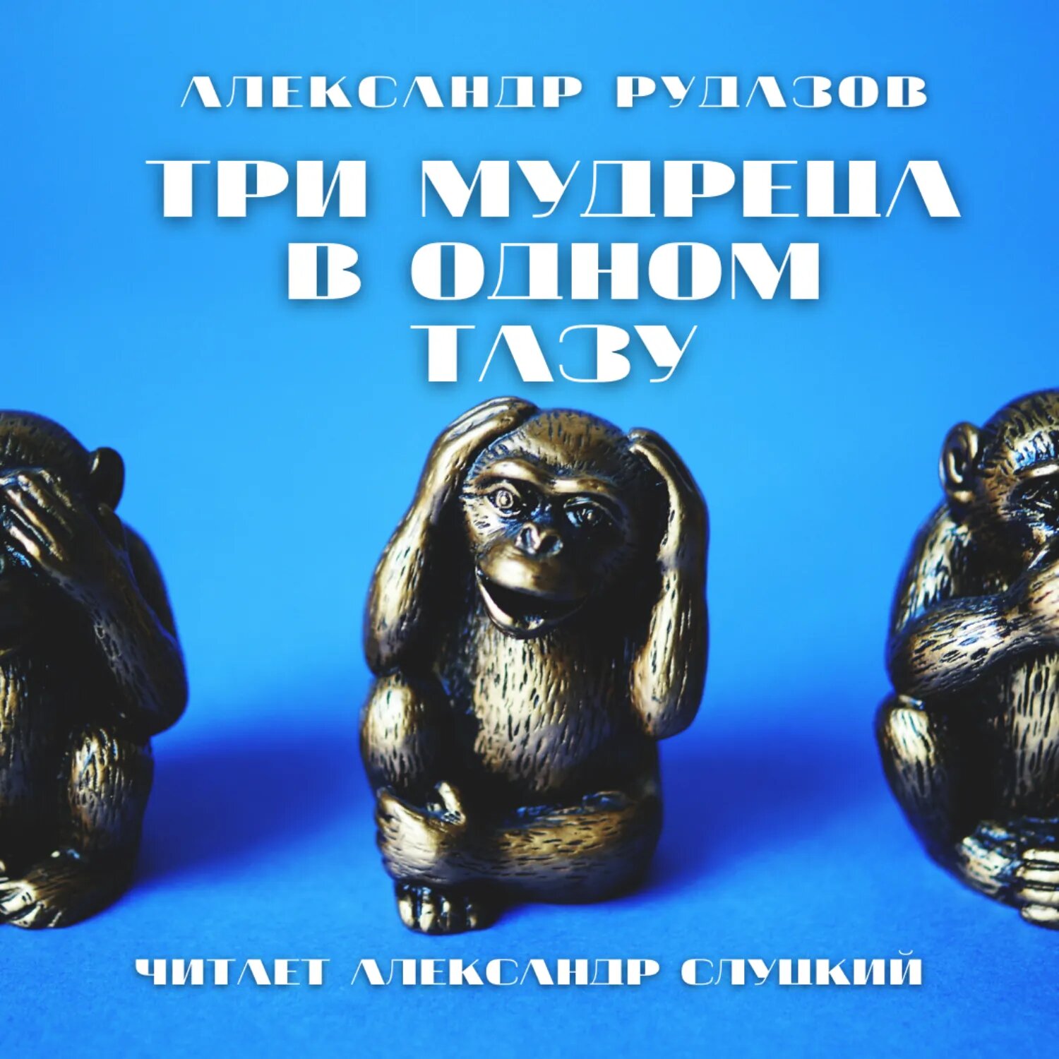Три мудреца в одном тазу [Аудиокнига]
