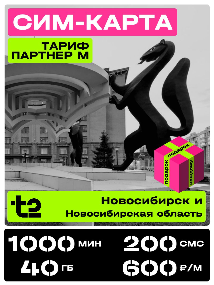 Сим карта t2, тариф Партнер М, 600 руб./мес. Новосибирская область