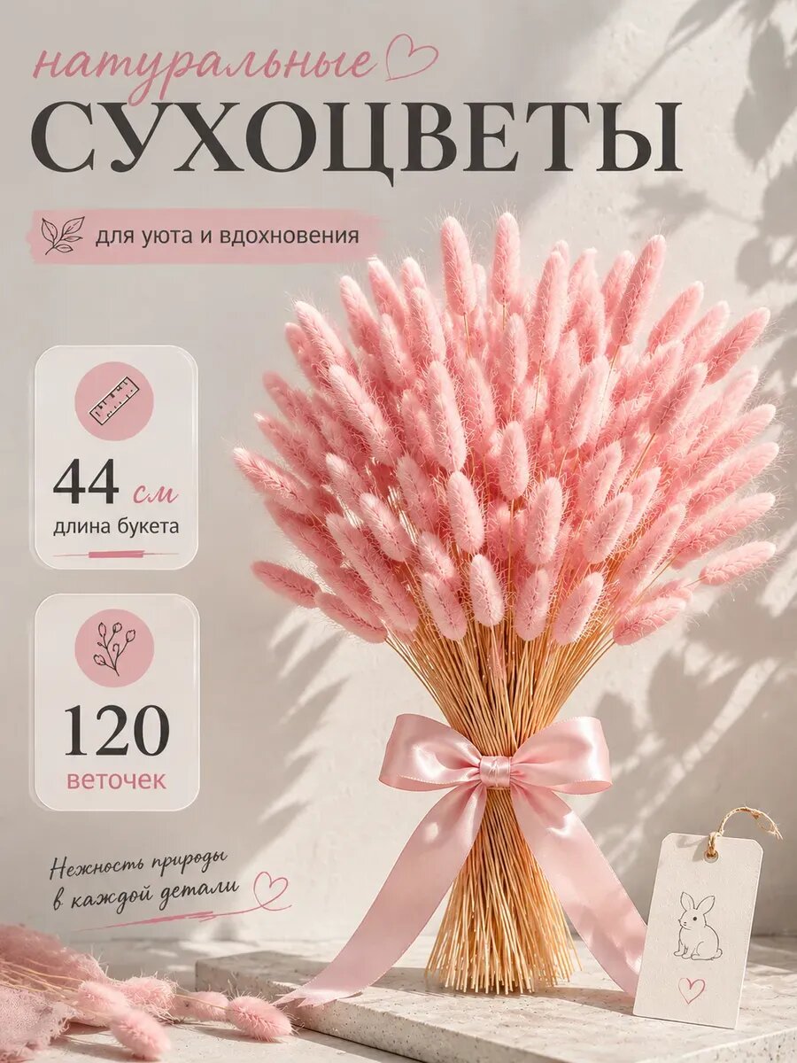 Сухоцветы лагурус розовый 120 шт для вазы и декора