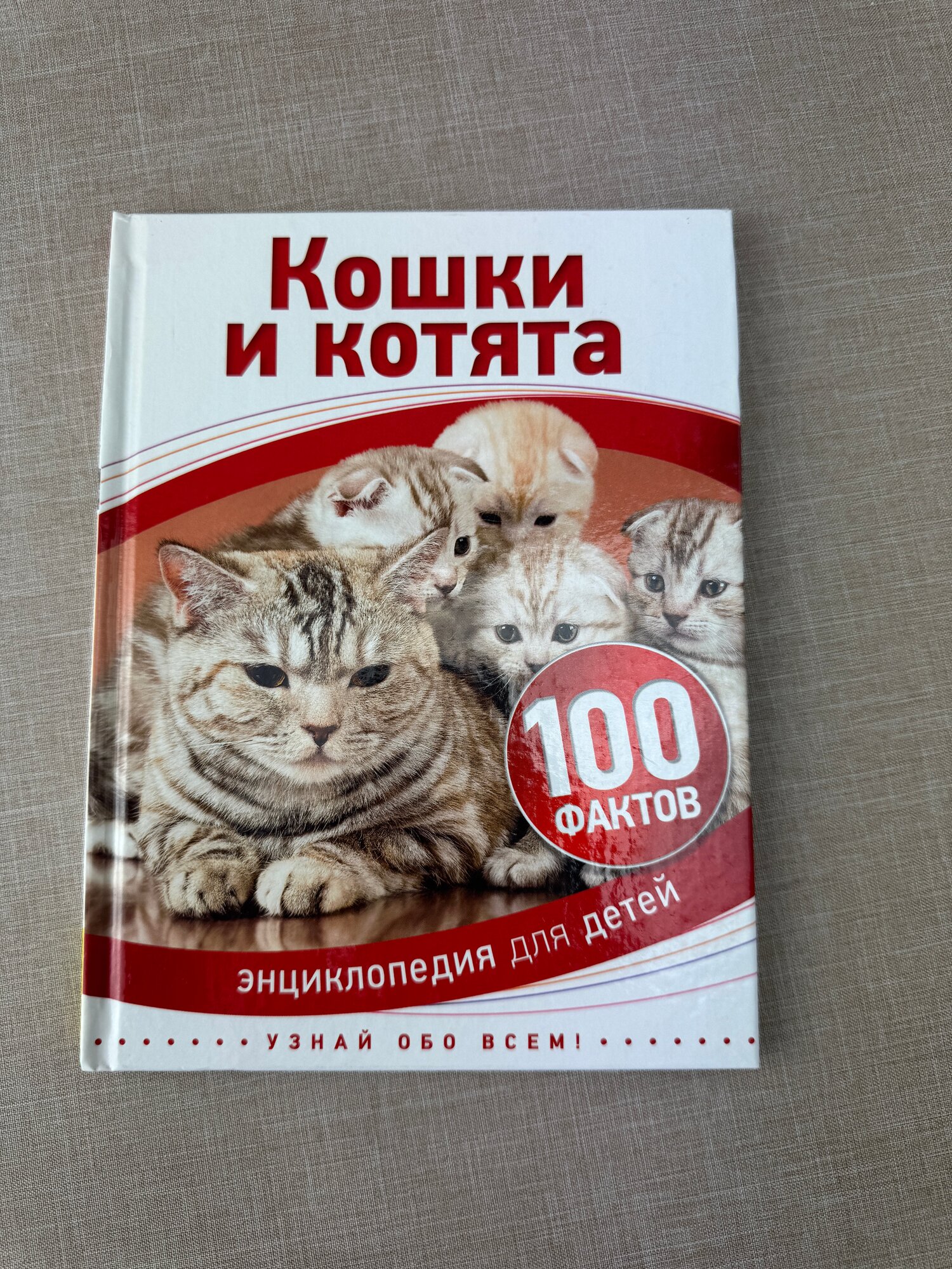 Кошки и котята. 100 фактов / Стив Паркер. Энциклопедия для детей. Росмэн, 2016, 48 с, ил, твёрдый переплёт, б/у