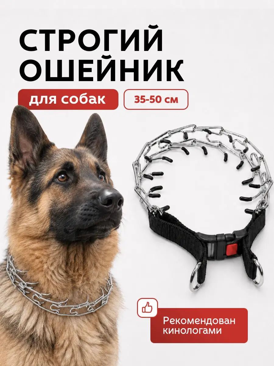Ошейник строгий для собак