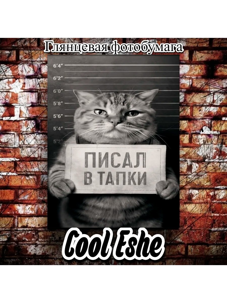 Постер "Кот-заключенный, писал в тапки" А3