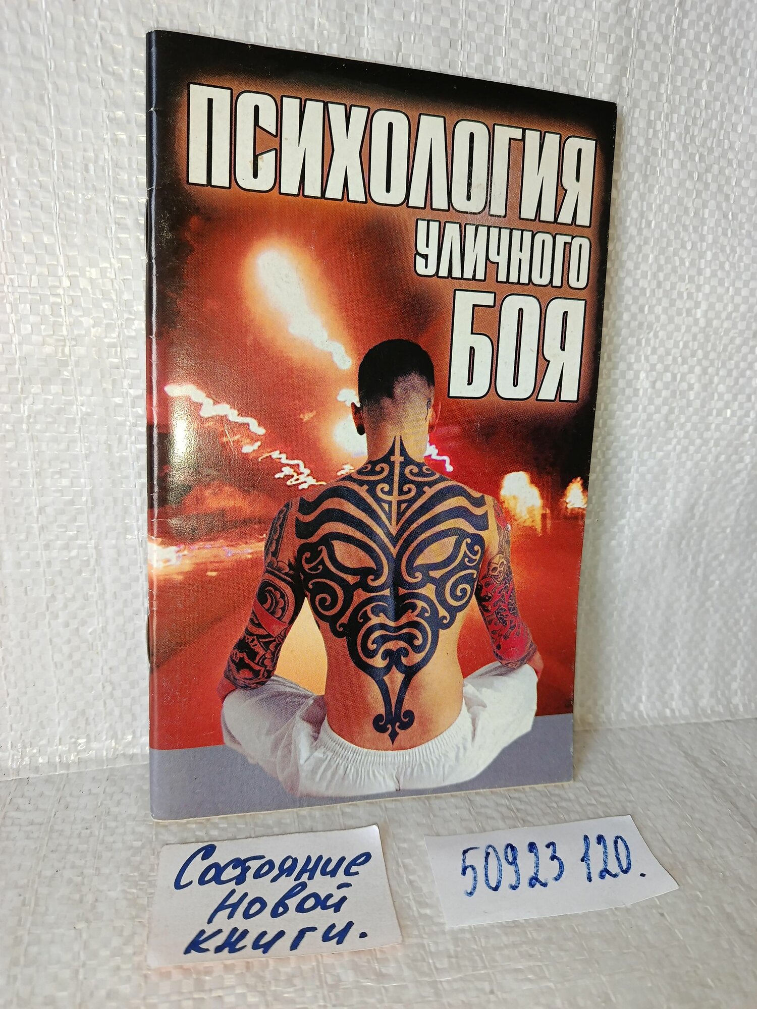 Ю. Гайдук. Психология уличного боя.
