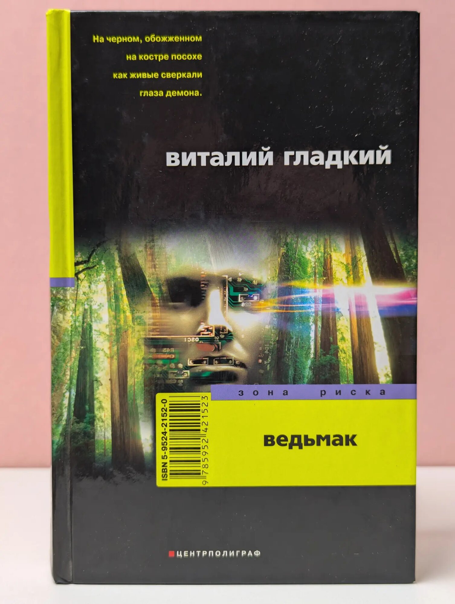 Зона риска. Ведьмак Гладкий Виталий Дмитриевич 2006