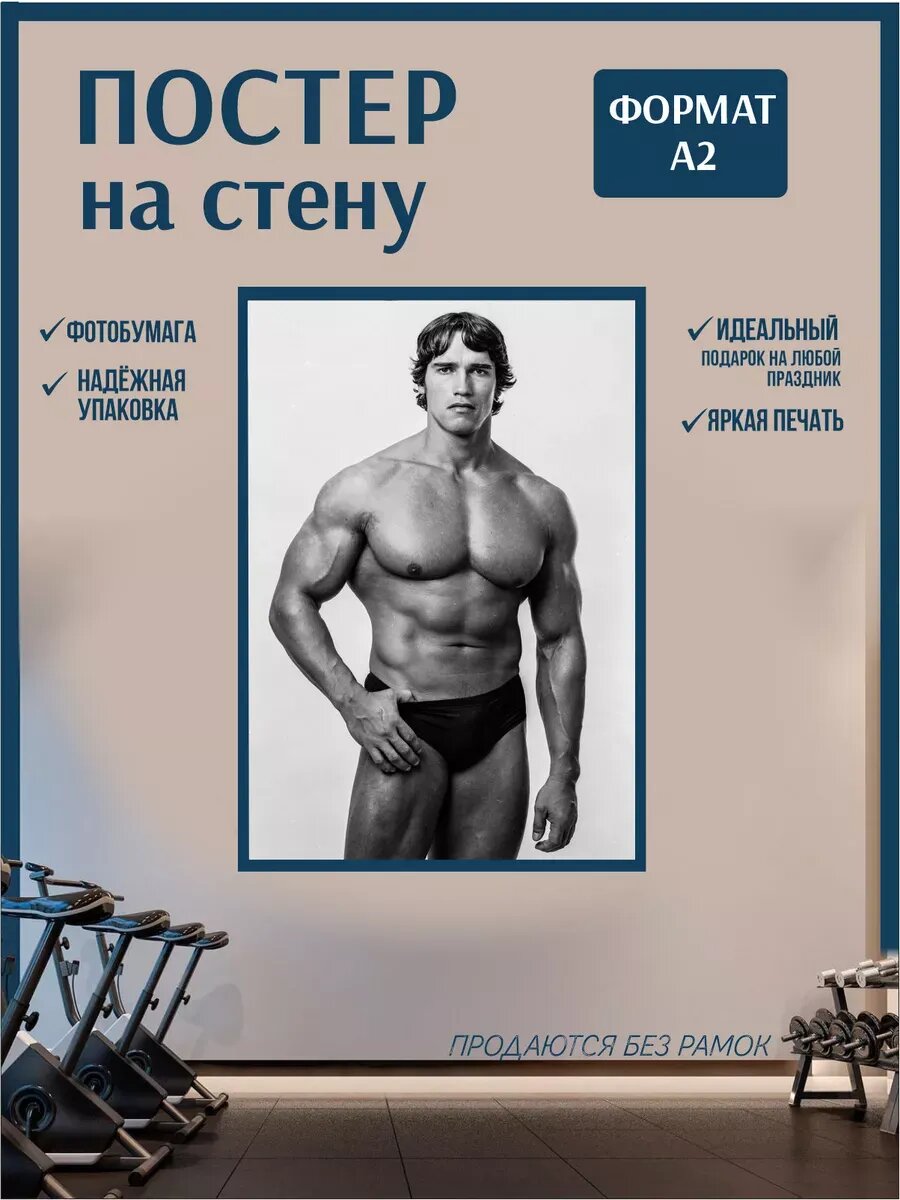 Арнольд Шварценеггер постеры Arnold Schwarzenegger А2