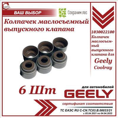 Колпачок маслосъемный выпускного клапана 6 ШТ. для Geely Coolray / Джили Кулрей / 1030022100
