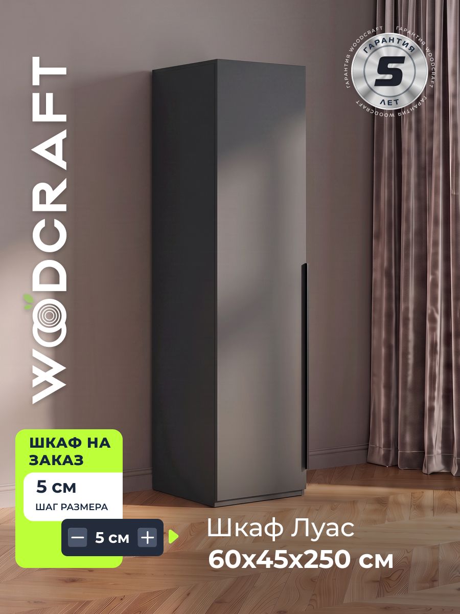 Распашной шкаф Луас-1.1-60-45-250 Графит