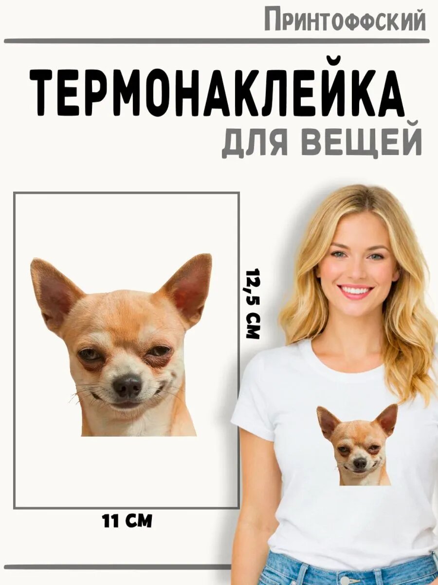 Термонаклейка Собака Мем — фото 1
