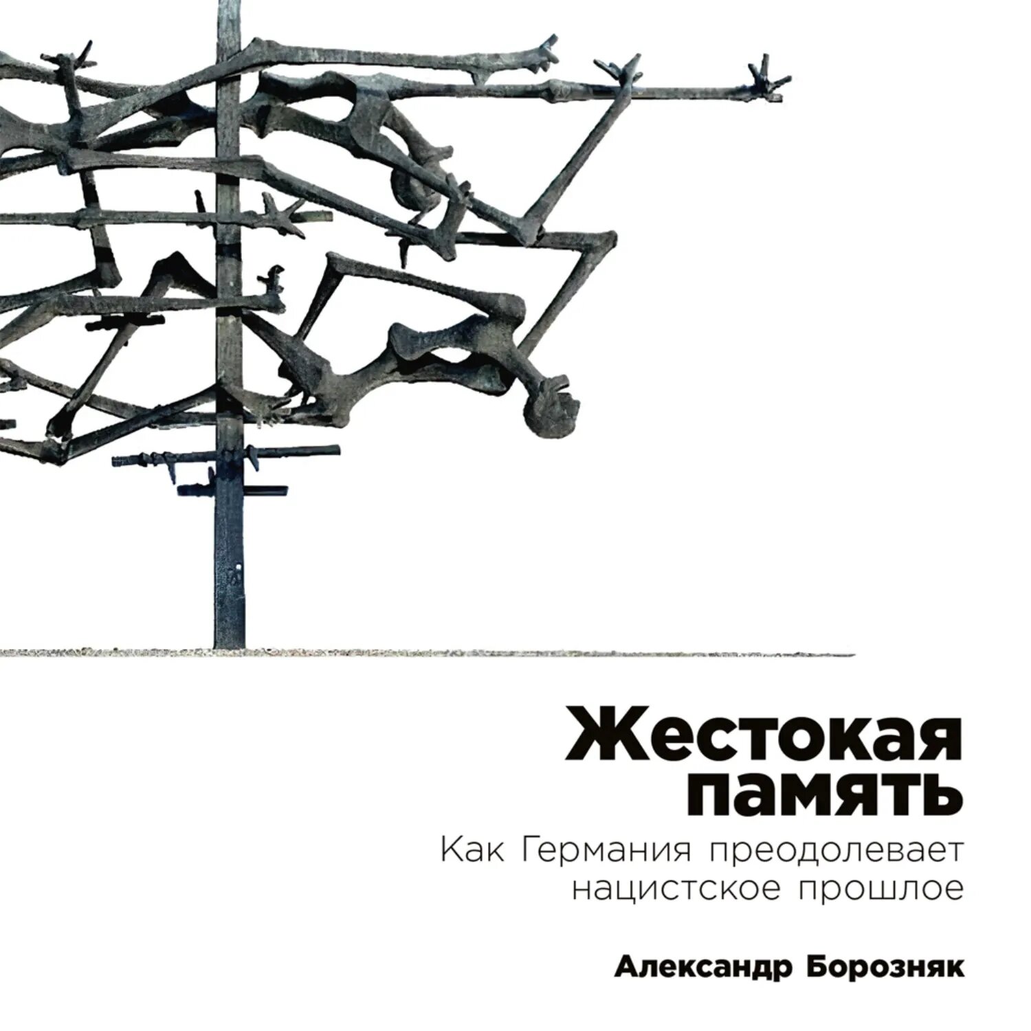Жестокая память: Как Германия преодолевает нацистcкое прошлое [Аудиокнига]