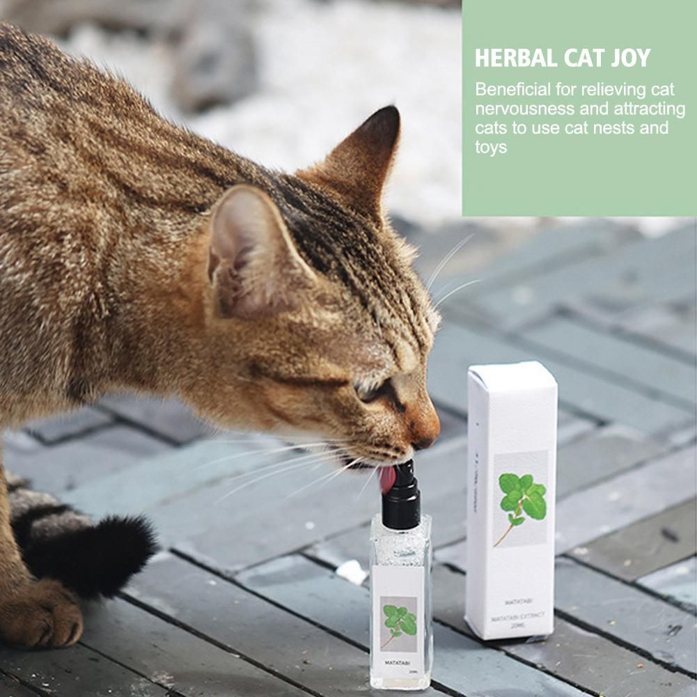 Кошачья мята спрей для котят и кошек / экстракт, Парфюм для животных