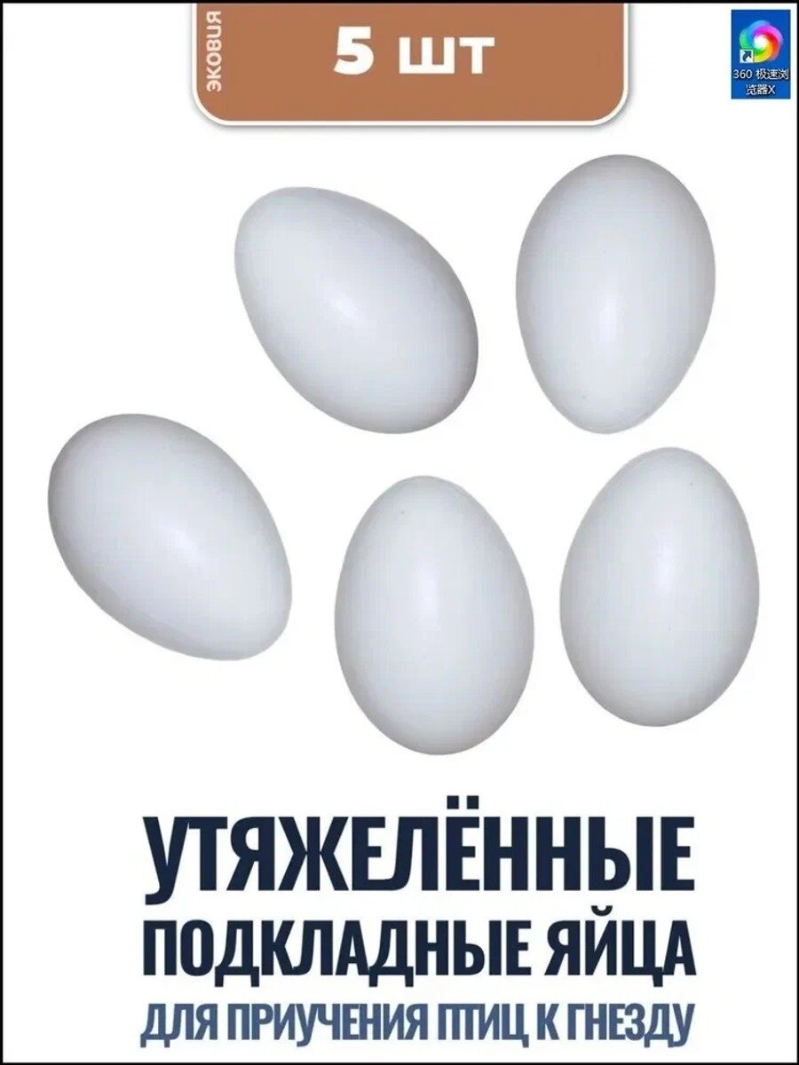 Подкладное яйцо для птиц, Количество в упаковке, шт 5, Единиц в одном товаре 5