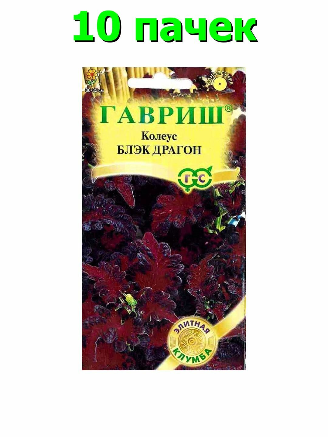 Семена Колеус Блэк Драгон, однолетник, Гавриш, 1 пачка - 5 семян