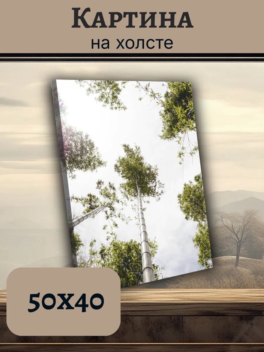 Картина Япония Japan 40x50 бамбуковая роща