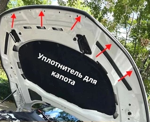 Уплотнитель для капота, двери самоклеящийся 6м D-профиль 14х12мм, для зазоров 8-11мм