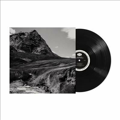 Виниловая пластинка Andrew Bird - Outside Problems (Vinyl, LP, Album, 2023)