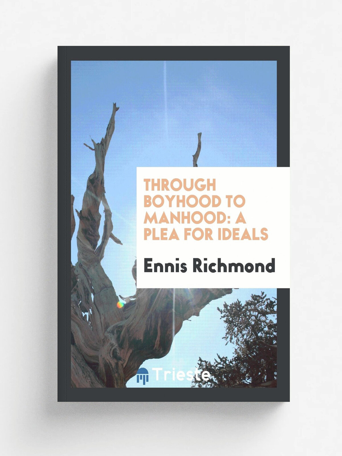 Through Boyhood to Manhood. A Plea for Ideals
