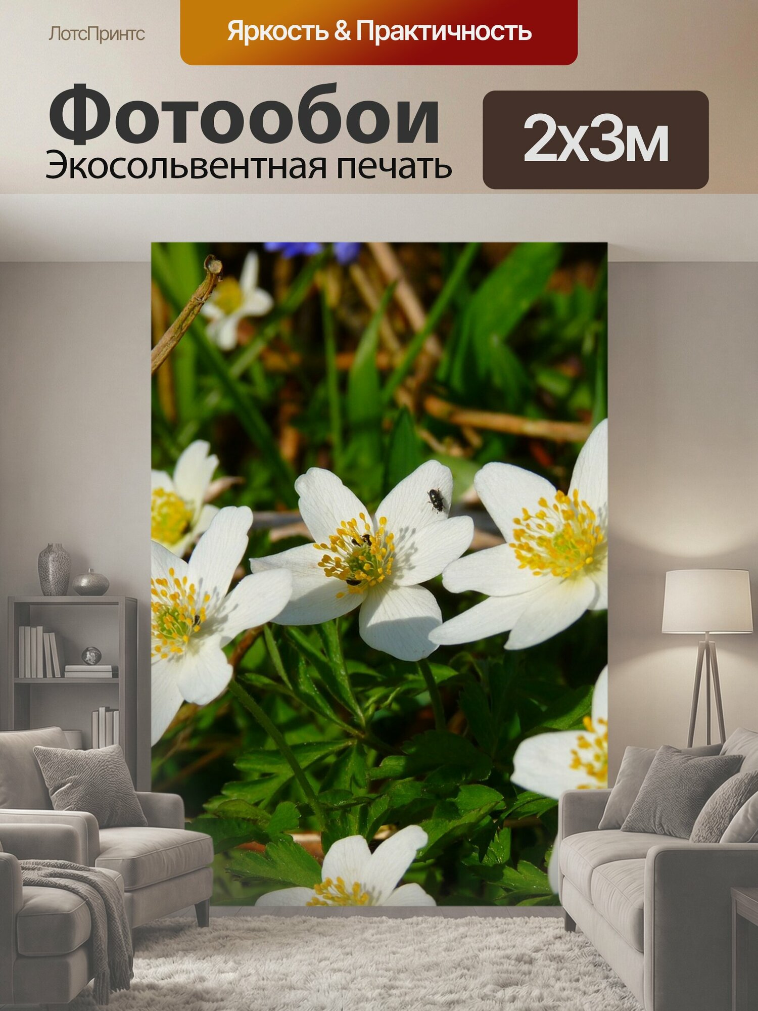 Фотообои "Древесные анемоны, анемон, цветок" 200x300 см. экосольвентная печать