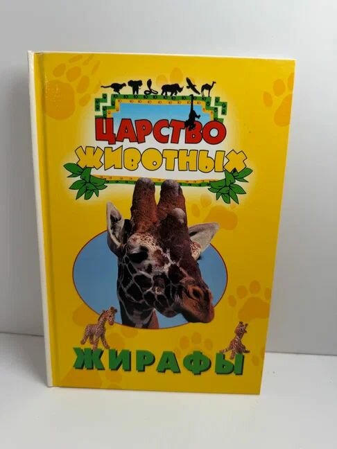 Царство животных. Жирафы