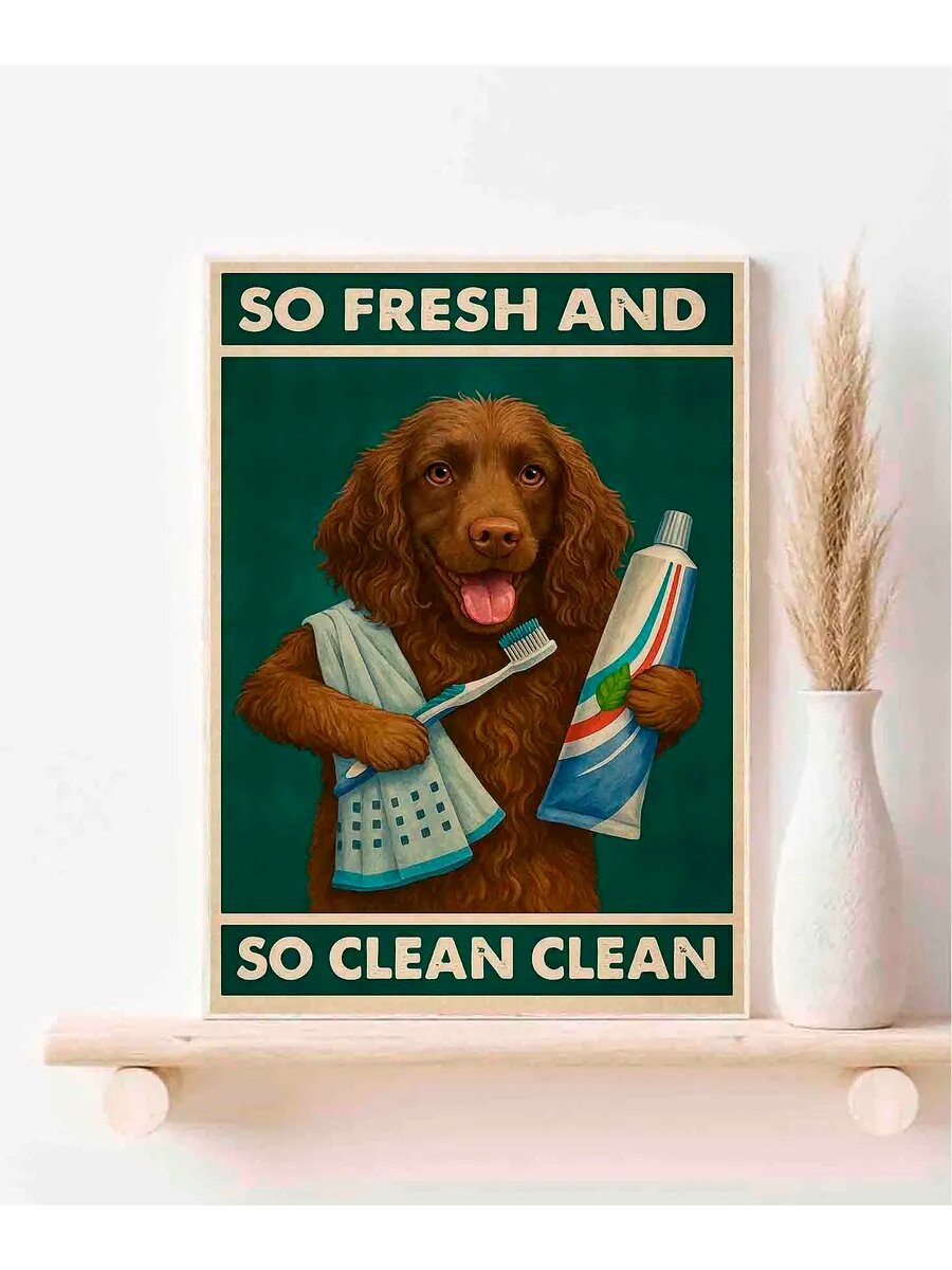 Спаниель Бойкин, So Fresh And So Clean Clean, Плакат 30x42с