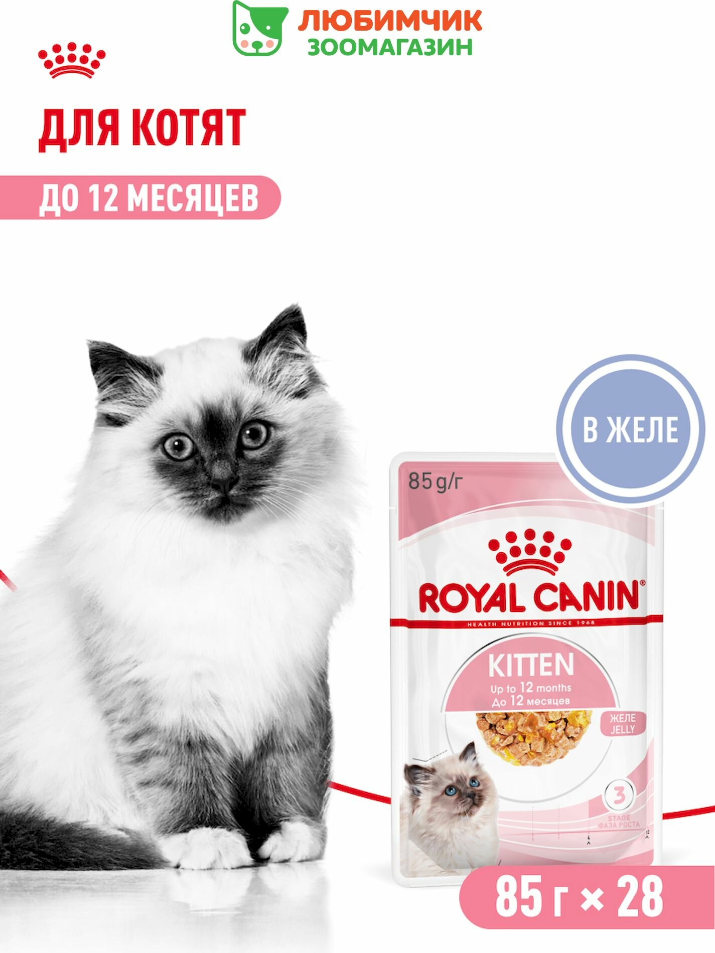 Royal Canin влажный корм для котят всех пород, в желе (28шт в уп) 85 гр